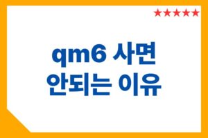 qm6 사면 안되는 이유 9가지, 이걸 개선해야 사죠! - 꽃플라워